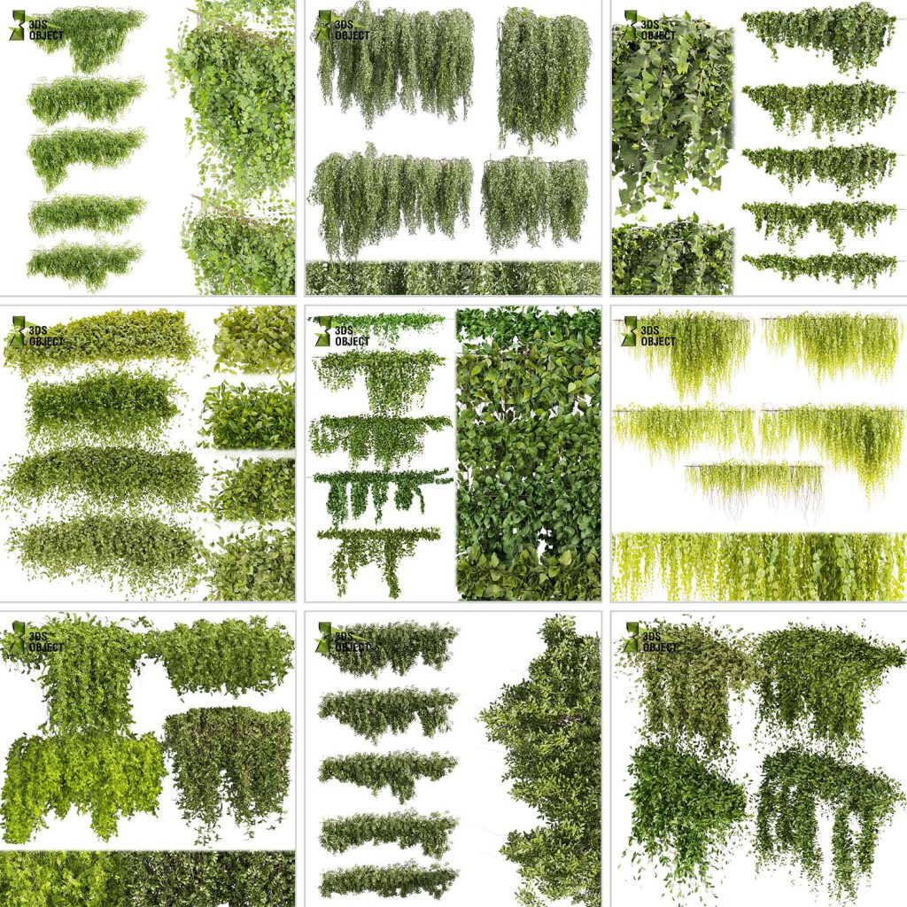 Ivy 3D model collection for download (free + premium)